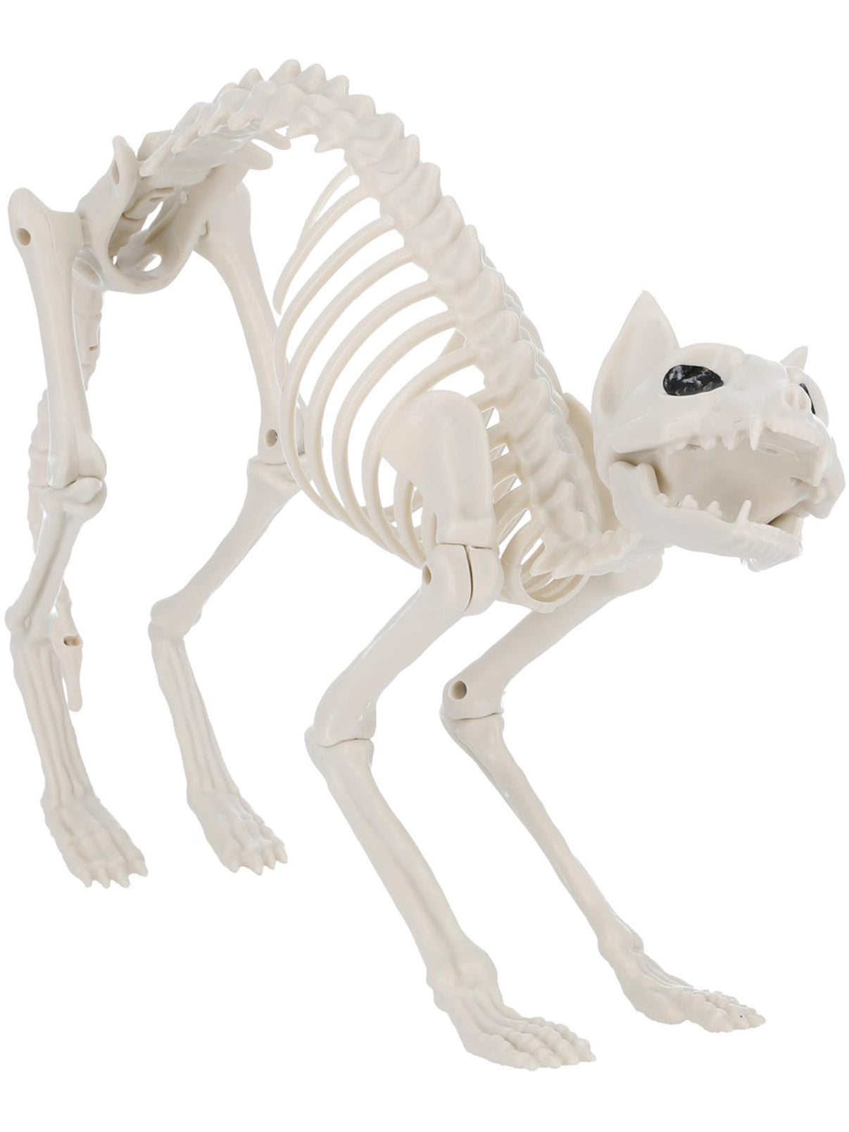 Cat Skeleton Prop | Smiffys