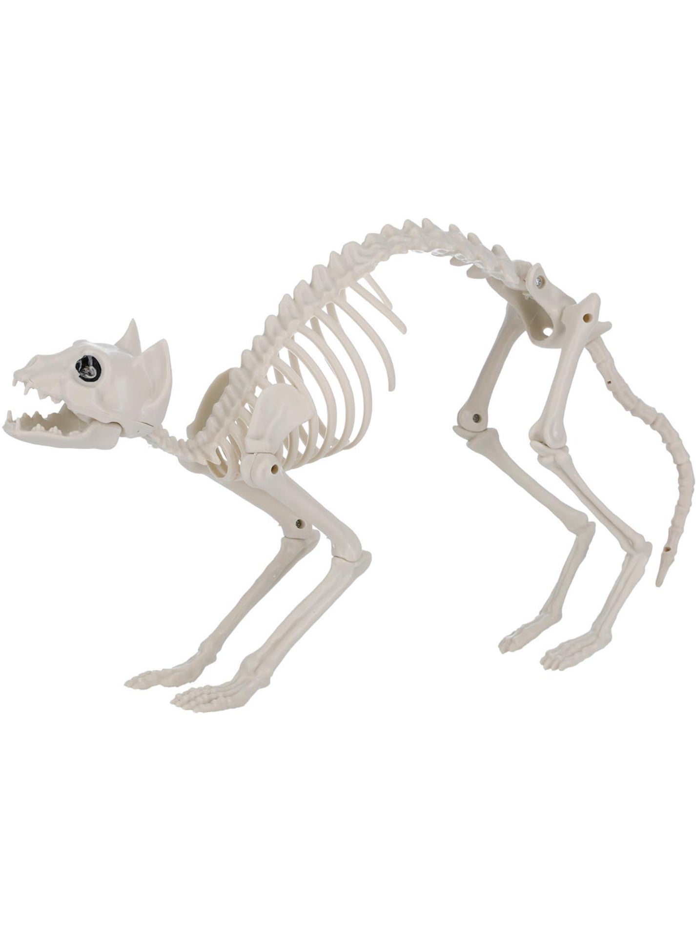 Cat Skeleton Prop | Smiffys
